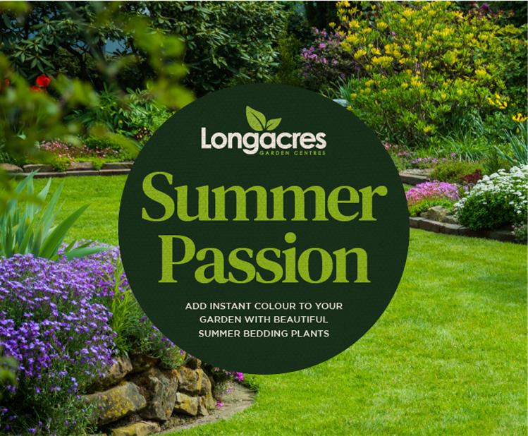 Longacres Garden Centres – Visit our Online Shop for Today’s Offers