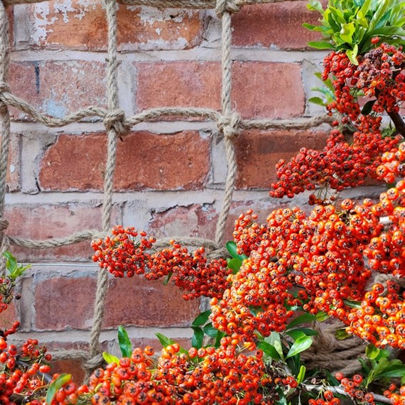 Treadstone Rope Trellis Natural Plant Climbing Support 1.5x1.8m (LIF21134)