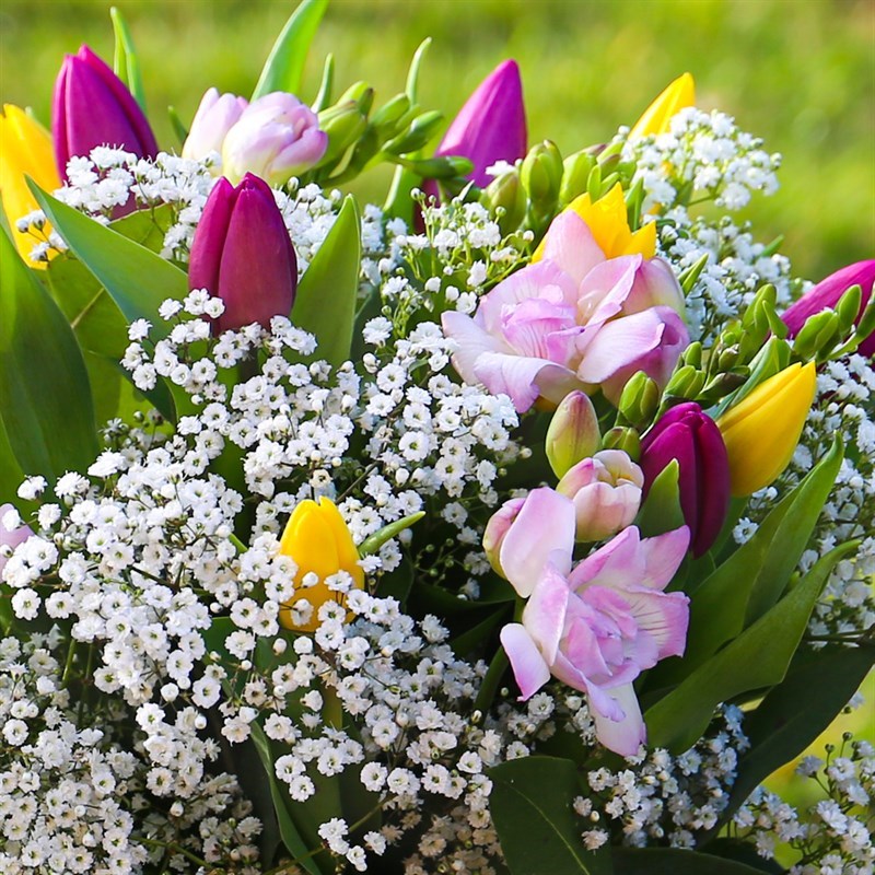 Easter Tulips and Freesia Handtied Floral Bouquet