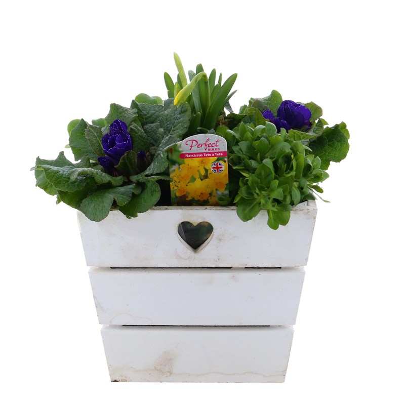 Mother's Day Planted Wooden Square Heart Bedding Outdoor Arrangement